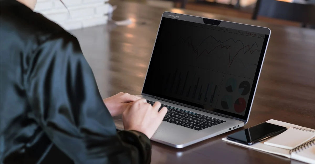 Privacy Filters for the Modern World: Balancing Security and Convenien ...